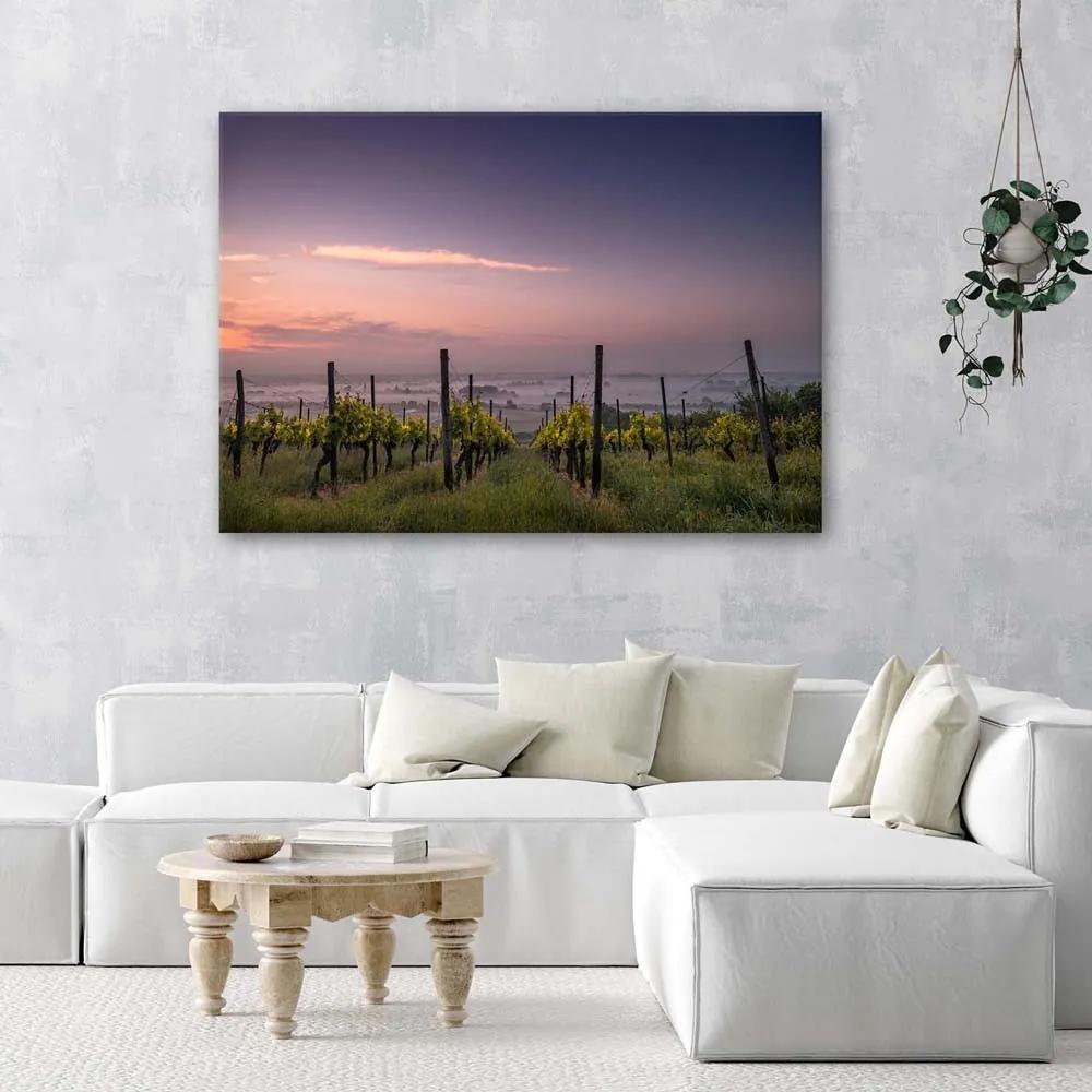 Gario Obraz na plátně Pěstování hroznů Rozměry: 60 x 40 cm