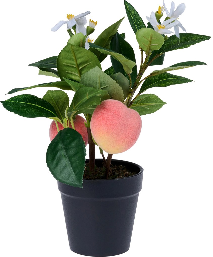 XXXLutz UMĚLÁ ROSTLINA broskev 30 cm Ambia Home - Umělé rostliny - 0039530095