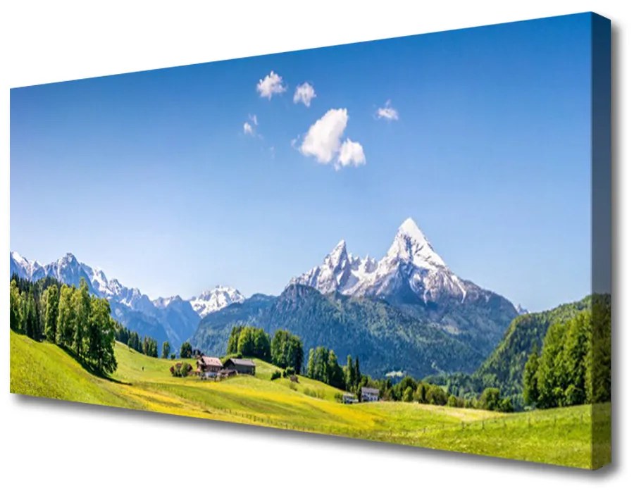 Obraz na plátně Pole Stromy Hory Krajina 140x70 cm