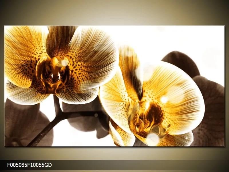 Obraz žlutých orchidejí (), 40 dalších rozměrů