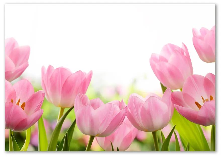 Wallmuralia Foto obraz skleněný svislý Růžové tulipány 100x70 cm