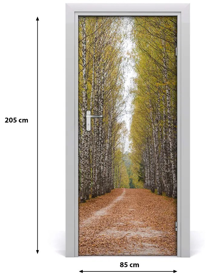 Fototapeta na dveře samolepící břízový les 85x205 cm