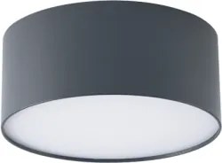 Brilagi - LED Koupelnové stropní svítidlo FORIS LED/20W/230V pr. 15 cm antr IP44