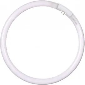 LUCIDE bulb T5 circle 32W 4 pins-27,5 žárovka, zářivka