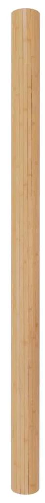 vidaXL Paraván bambusový 250 x 165 cm přírodní