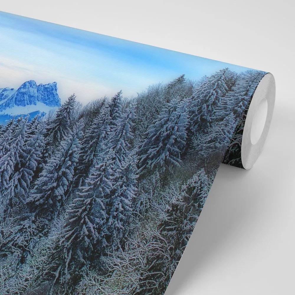 Samolepící fototapeta zmrzlé hory
