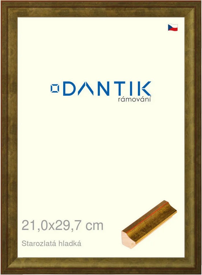 DANTIK rámeček 21x29,7 | Starozlatá hladká (Sklo Čiré)
