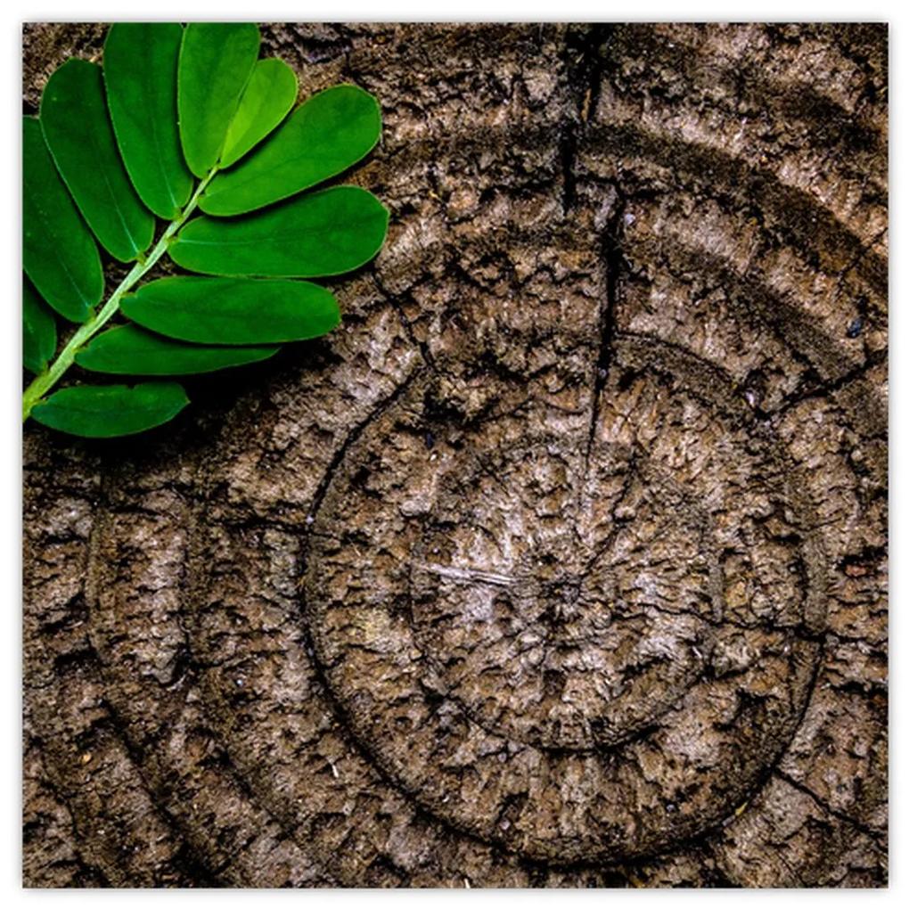 Obraz listu na kmeni stromu (30x30 cm)