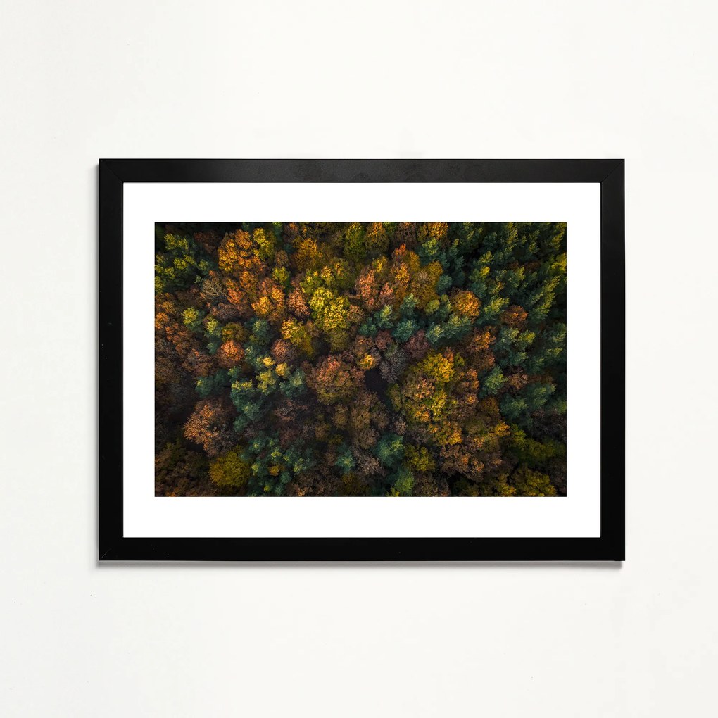Vojta Herout | Nothing But A Forest Rám: Bez rámu, Velikost: 20 x 30 cm