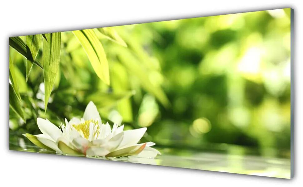 akrylový obraz Květ Listy 125x50 cm