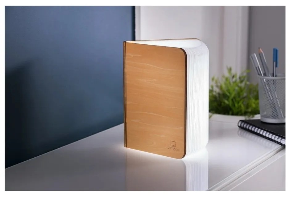 Světelná dekorace na USB v přírodní barvě Booklight – Gingko