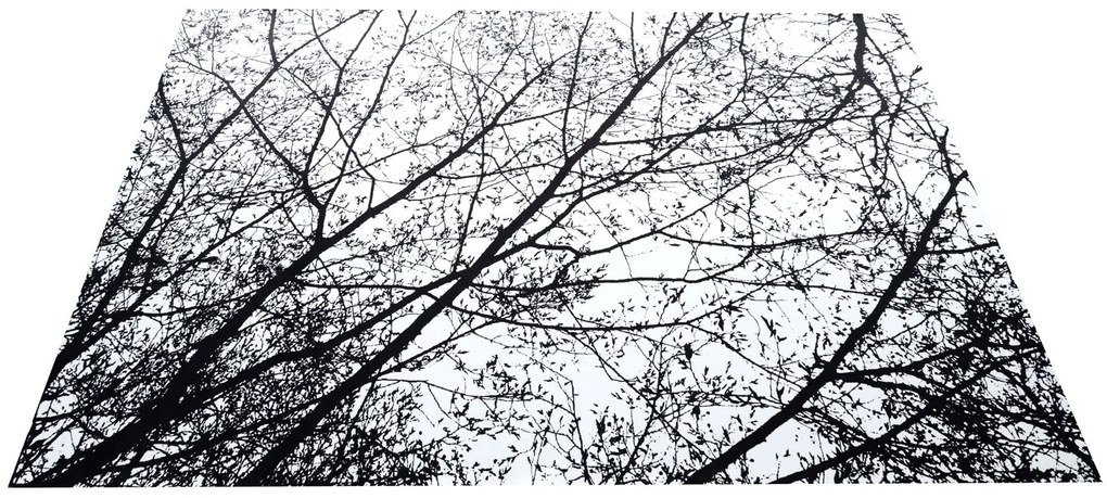 Tutumi Nature 4D, plyšový koberec vzor: černé stromy 140x200 cm, SHG-09009