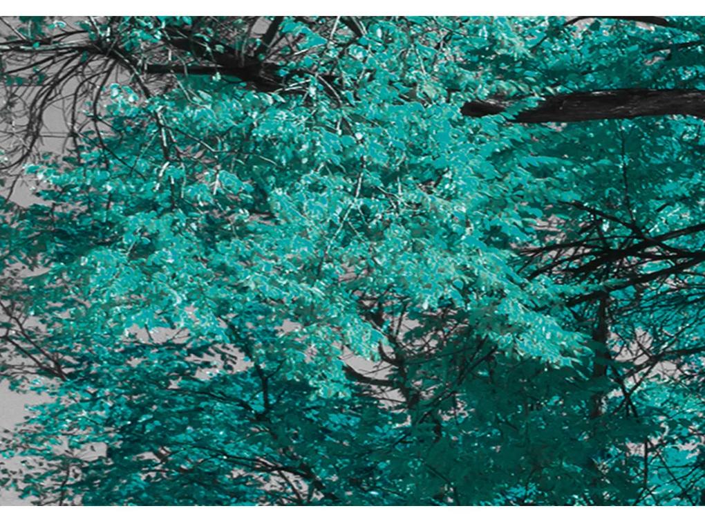 Pětidílný obraz tyrkysová krajina + háčky a hřebíčky ZDARMA Velikost (šířka x výška): 150x80 cm