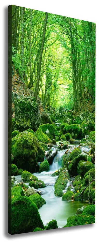 Wallmuralia Foto obraz na plátně Potok v džungli 50x125 cm