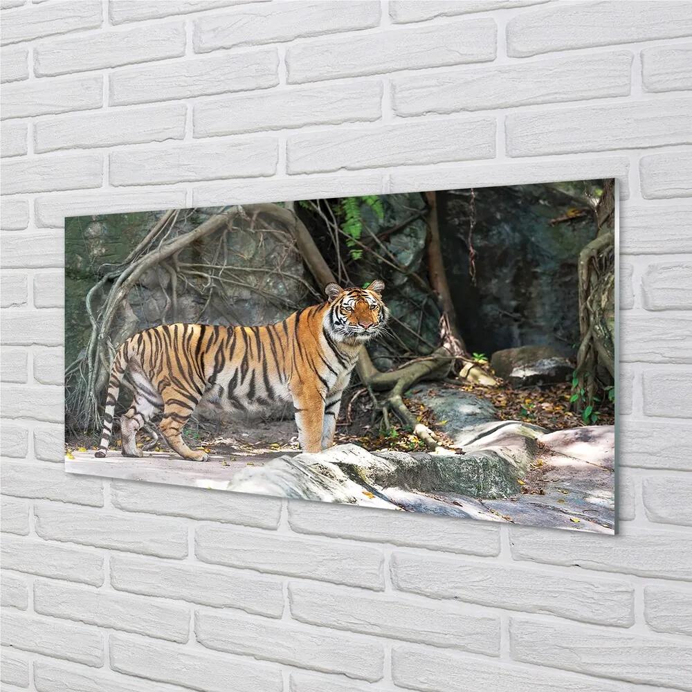 Obraz na skle tygr džungle 125x50 cm