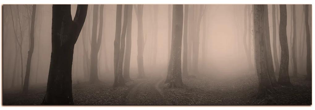 Obraz na plátně - Mlha v lese - panoráma 5182FA (120x45 cm)