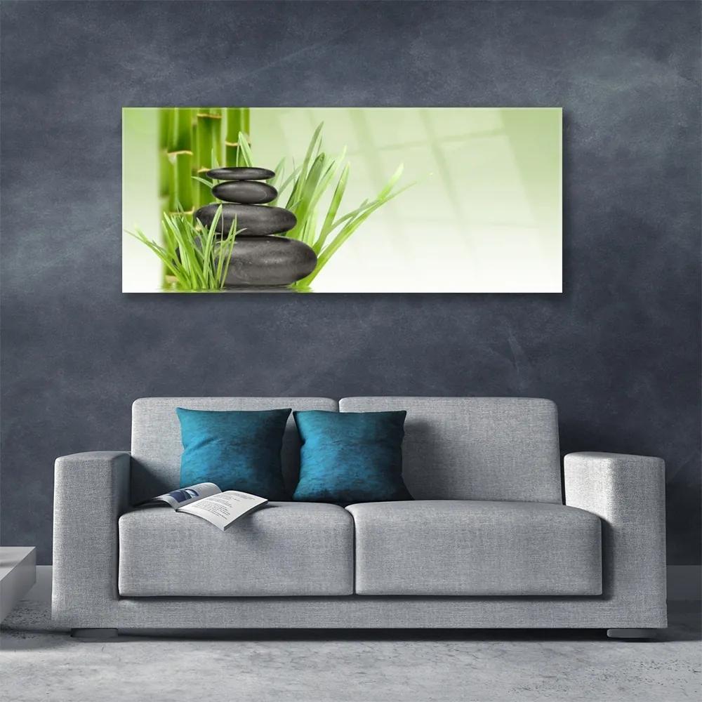 akrylový obraz Bambus Tráva Rostlina Příroda 125x50 cm