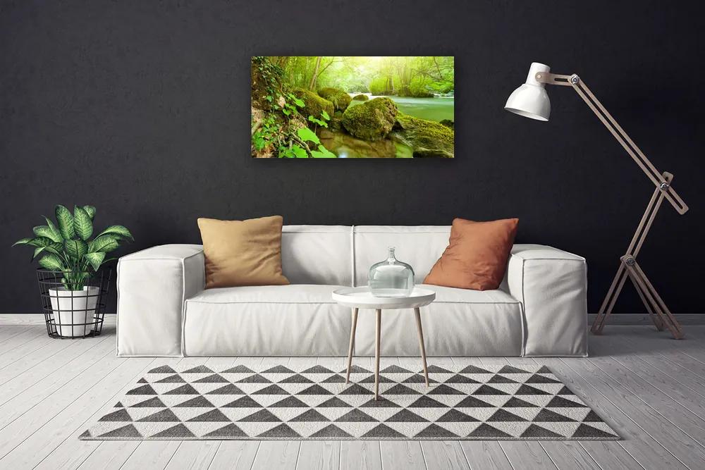 Obraz na plátně Jezero Kameny Příroda 140x70 cm