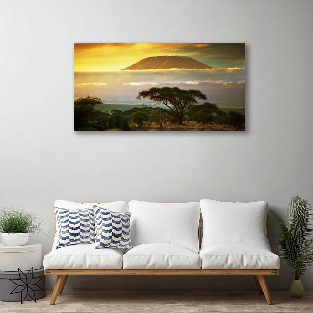 Obraz na plátně Strom Hory Příroda 125x50 cm