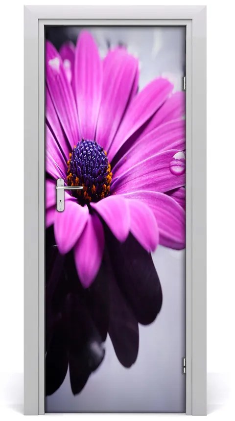 Samolepící fototapeta na dveře Růžová gerbera 75x205 cm