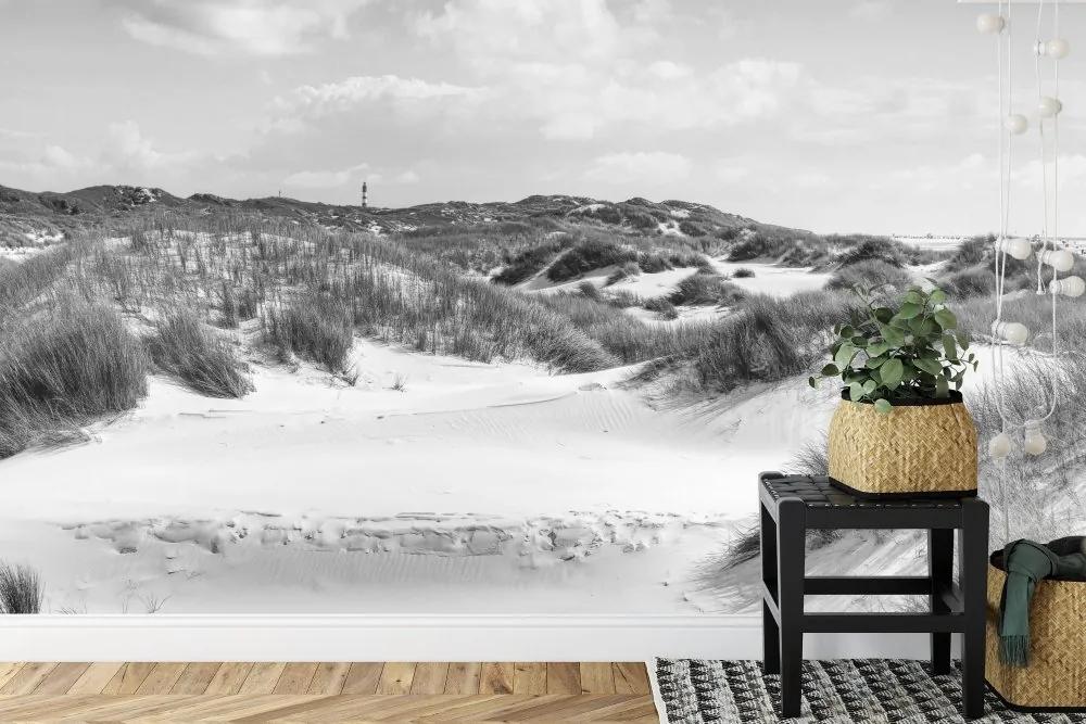 Fototapeta Dune Paradise V Černé A Bílé Omyvatelný vlies 254x184