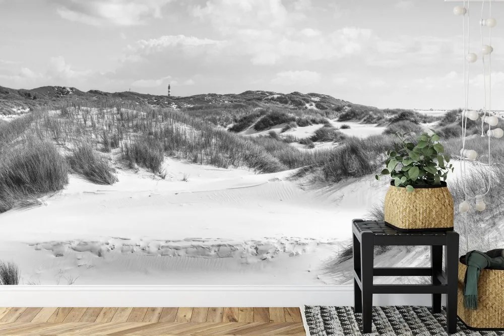 Fototapeta Dune Paradise V Černé A Bílé Vliesová tapeta 520x318