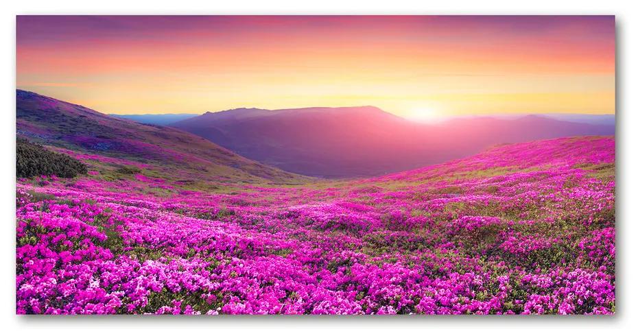 Wallmuralia Foto obraz akrylový Růžové kopce 120x60 cm