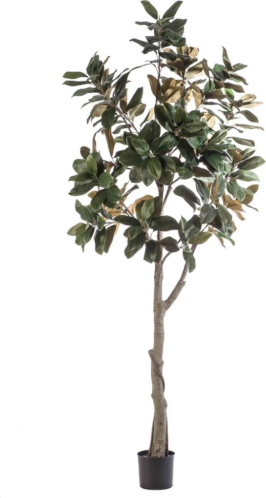 Magnolia Denudata umělá V 240 cm