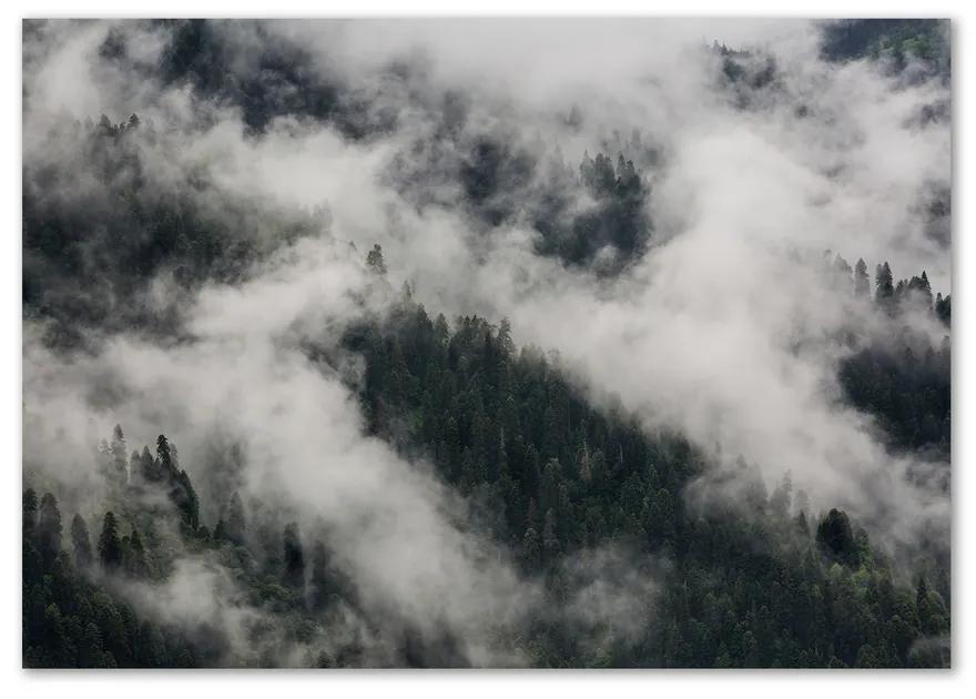Wallmuralia Foto obraz sklo tvrzené Mlha nad lesem 100x70 cm