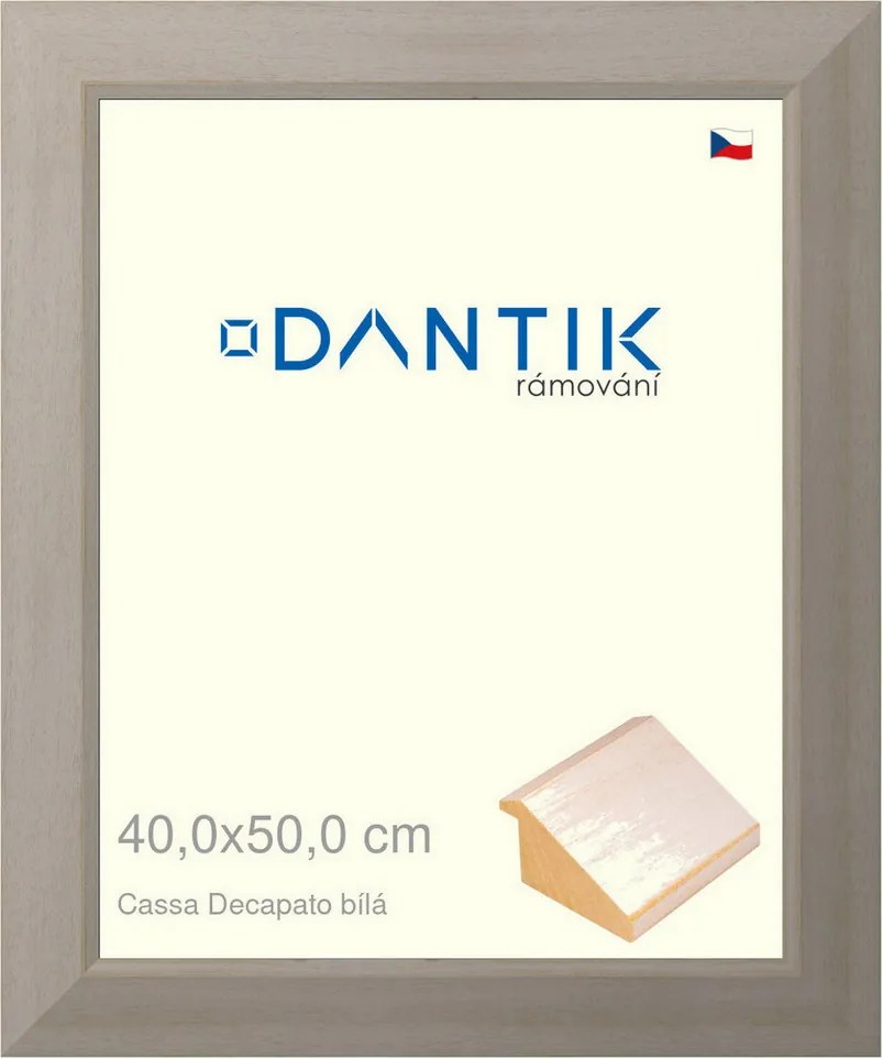 DANTIK rámeček 40x50 | Caa Decapato bílá (Sklo Čiré)