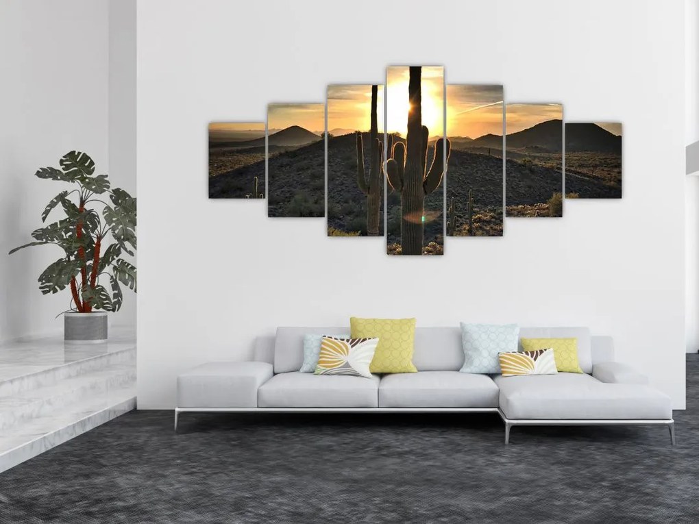 Obraz - kaktusy ve slunci (210x100 cm)