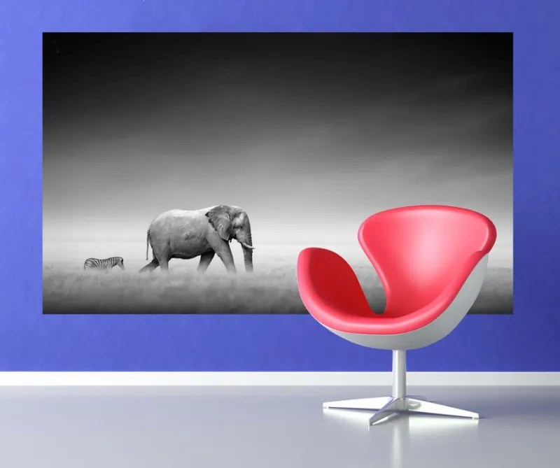 Tapeta - Slon a zebra (120x72 cm) - PopyDesign