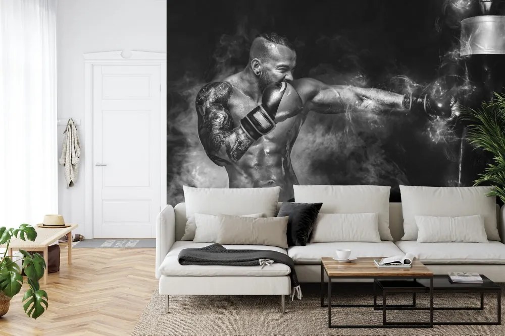 Fototapeta Tréninkový Boxer Hladký vinyl 254x184