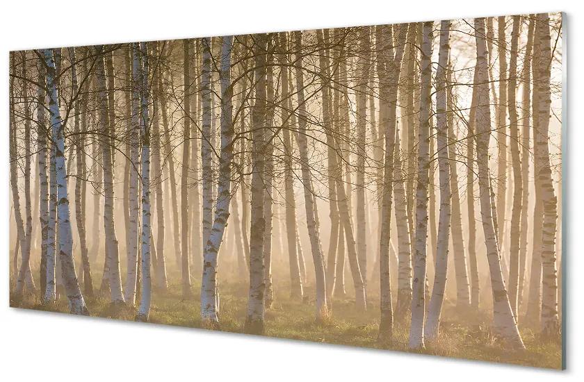akrylový obraz Sunrise strom les 125x50 cm