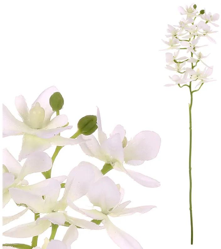 Orchidea drobnokvětá UKK313 WH bílá