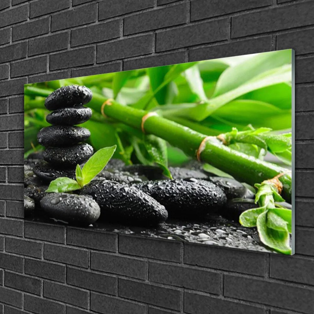 Obraz na skle Bambus Kameny Rostlina 100x50 cm