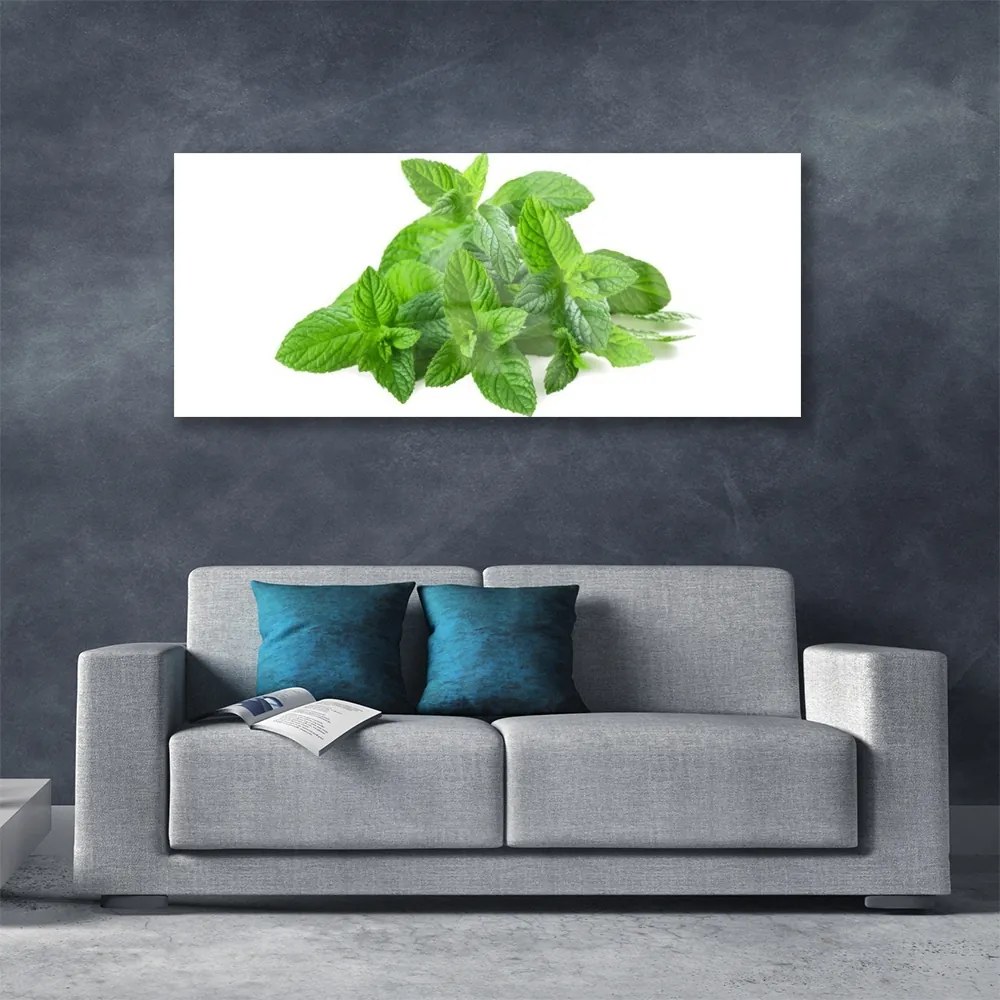 Plexisklo-obraz Máta Rostlina Příroda 125x50 cm