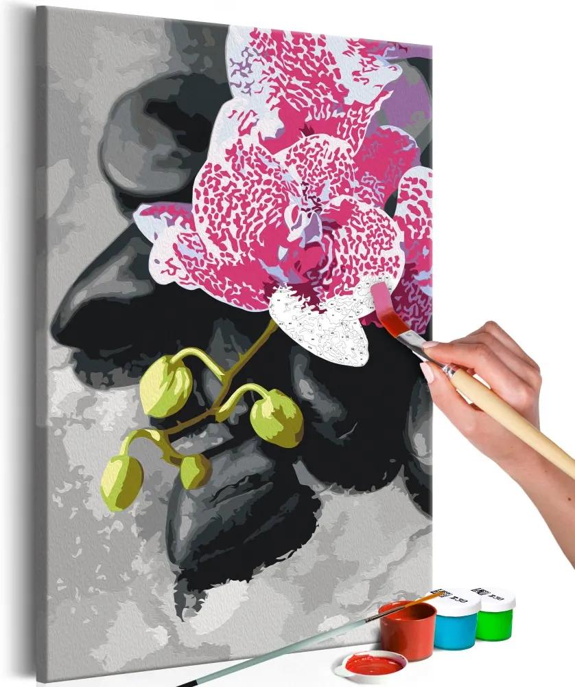 Bimago Malování podle čísel - Pink Orchid | 40x60 cm