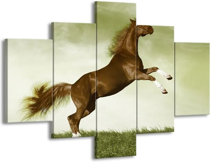 Hnědý kůň na trávě 100x70 cm