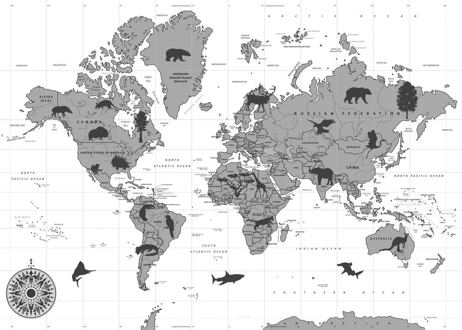 Obraz na korku mapa se zvířaty v černobílém provedení