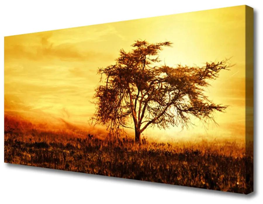 Obraz na plátně Strom Příroda 140x70 cm