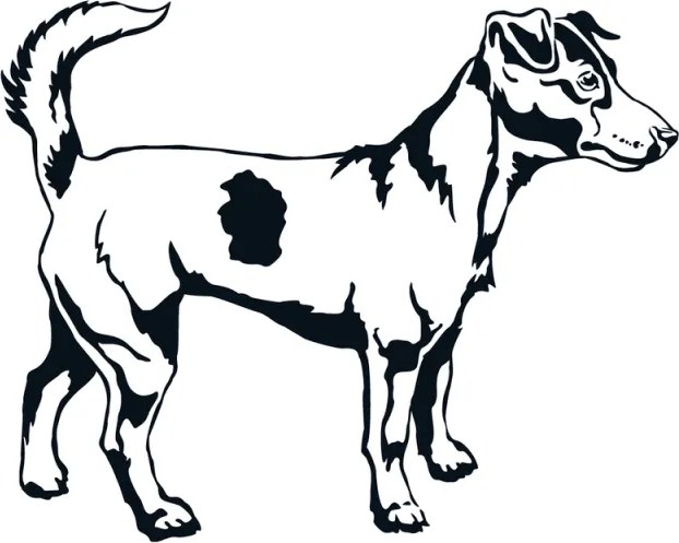 Samolepka Jack Russell Teriér