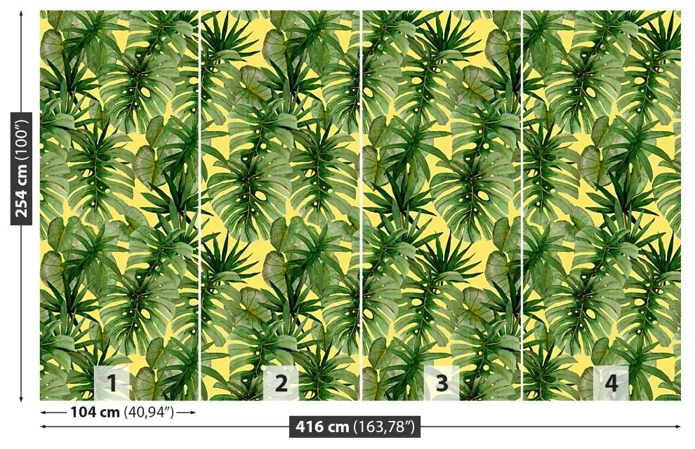 Fototapeta palma monstera 104x70