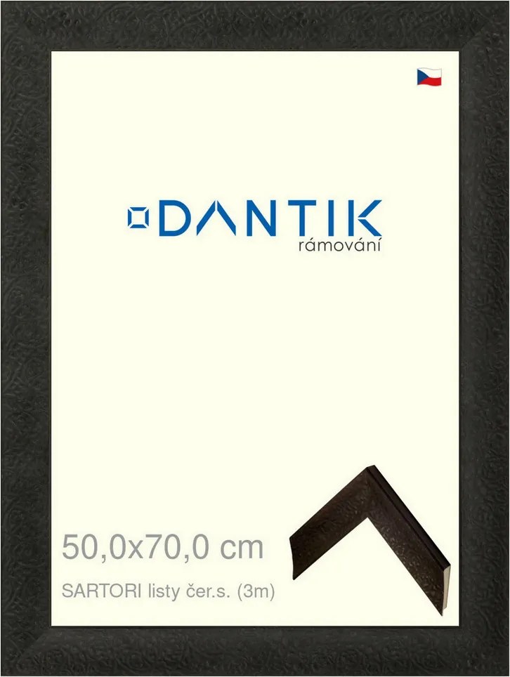 DANTIK rámeček 50x70 | SARTORI listy čer.s. (Plexi Čiré)