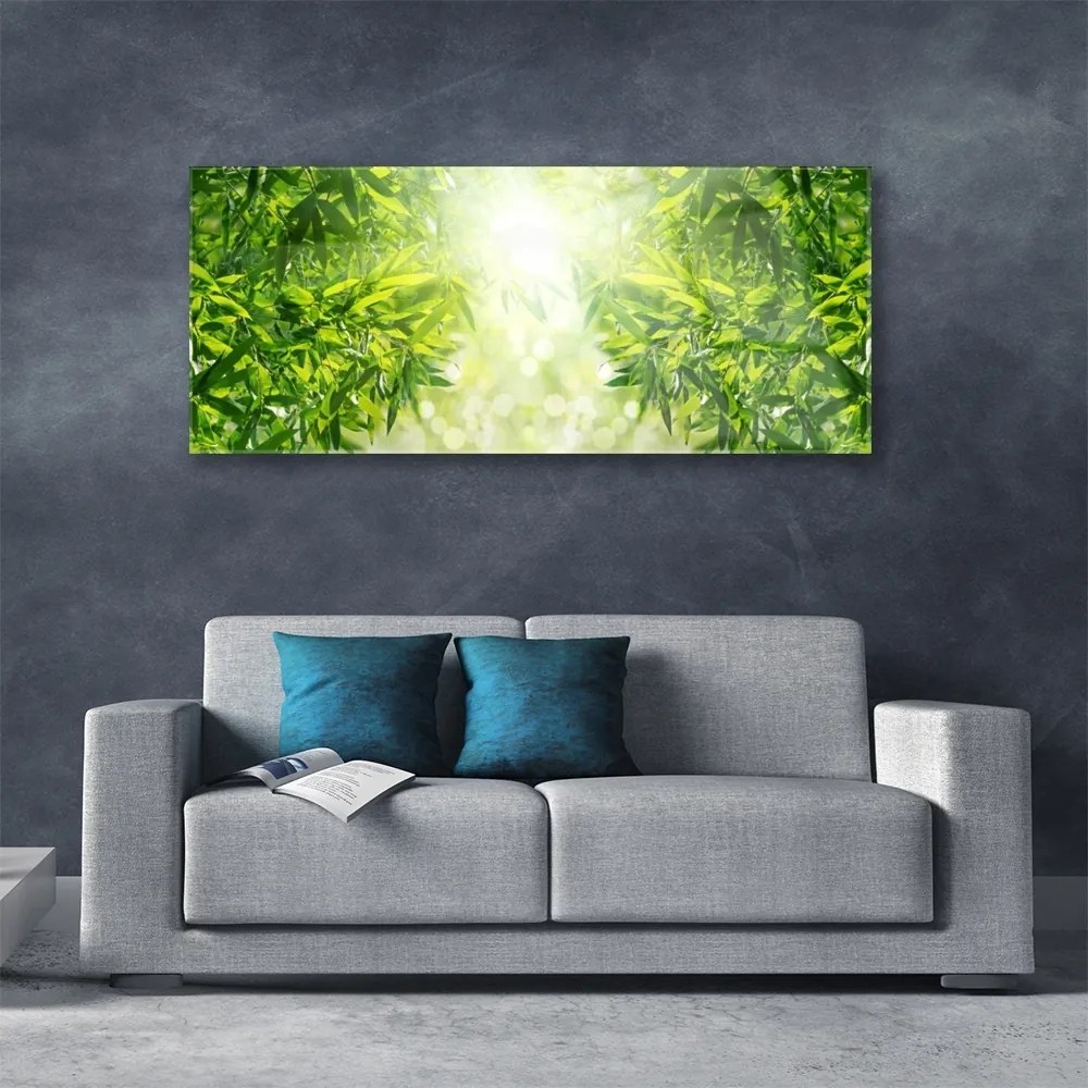 akrylový obraz Listy Příroda Rostlina 125x50 cm
