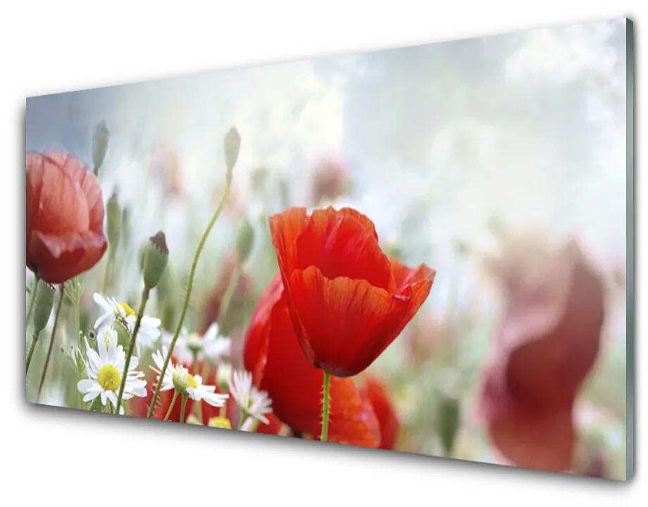 Skleněné obklady do kuchyně Květiny Plátky Rostlina 100x50 cm