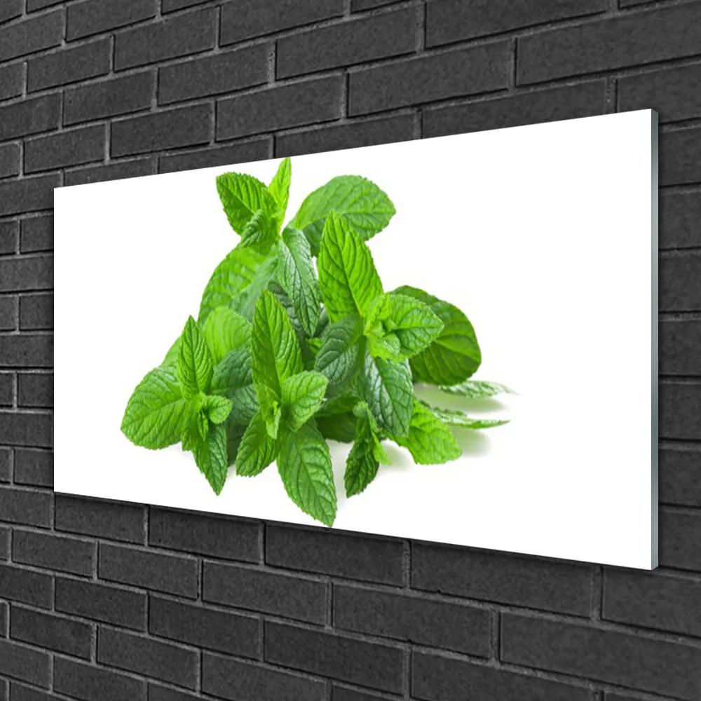 Obraz na skle Máta Rostlina Příroda 125x50 cm