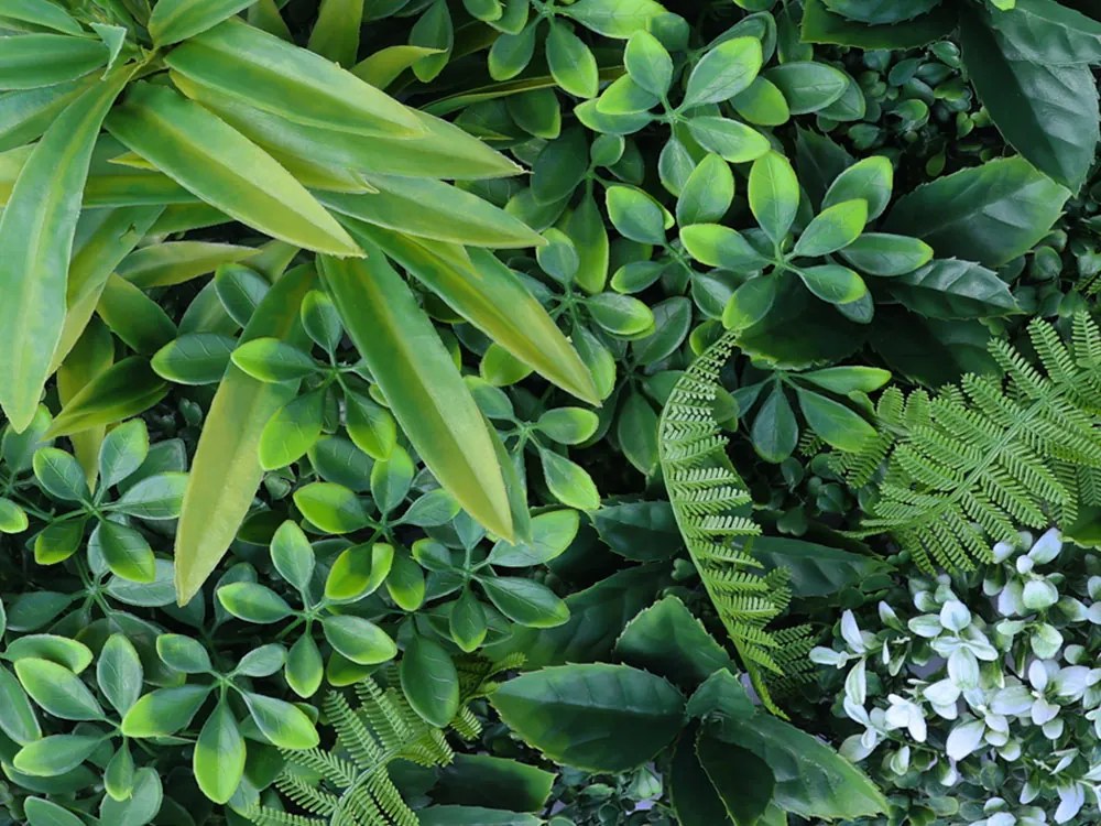 MINI WALL GREEN  herb variation, dílec 50 x 50 cm