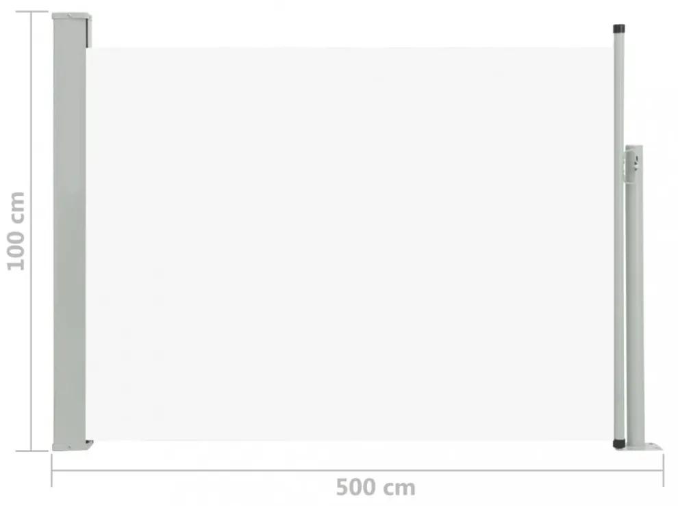Zatahovací boční markýza 100x500 cm Dekorhome Hnědá