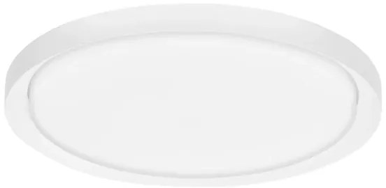 LED stropní svítidlo Troy 56 bílé